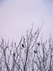 Transformation takes Time - Wayfaring Wanderer Boone NC Photographer