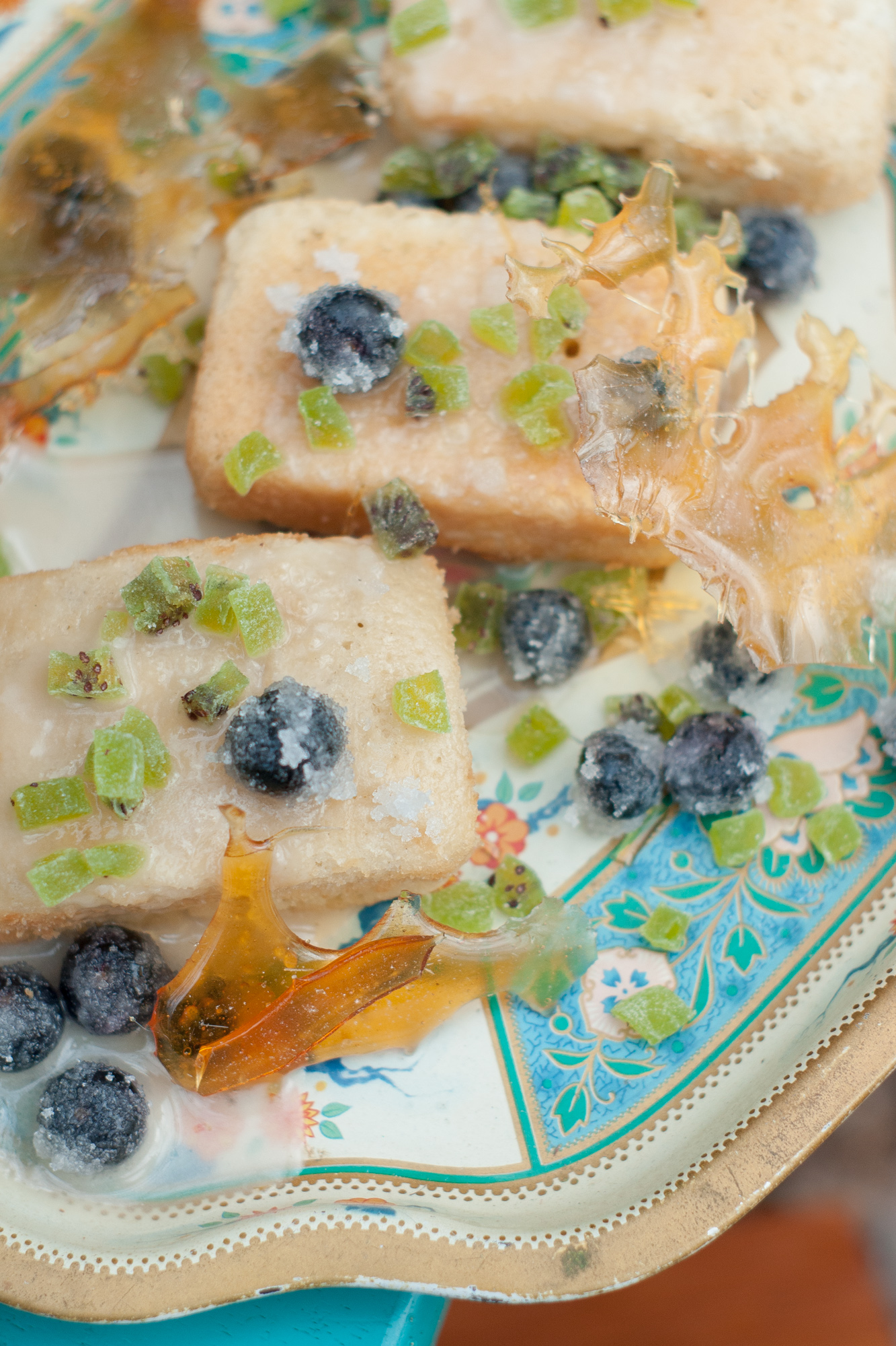 SONY DSC - Wayfaring Wanderer Boone NC Photographer